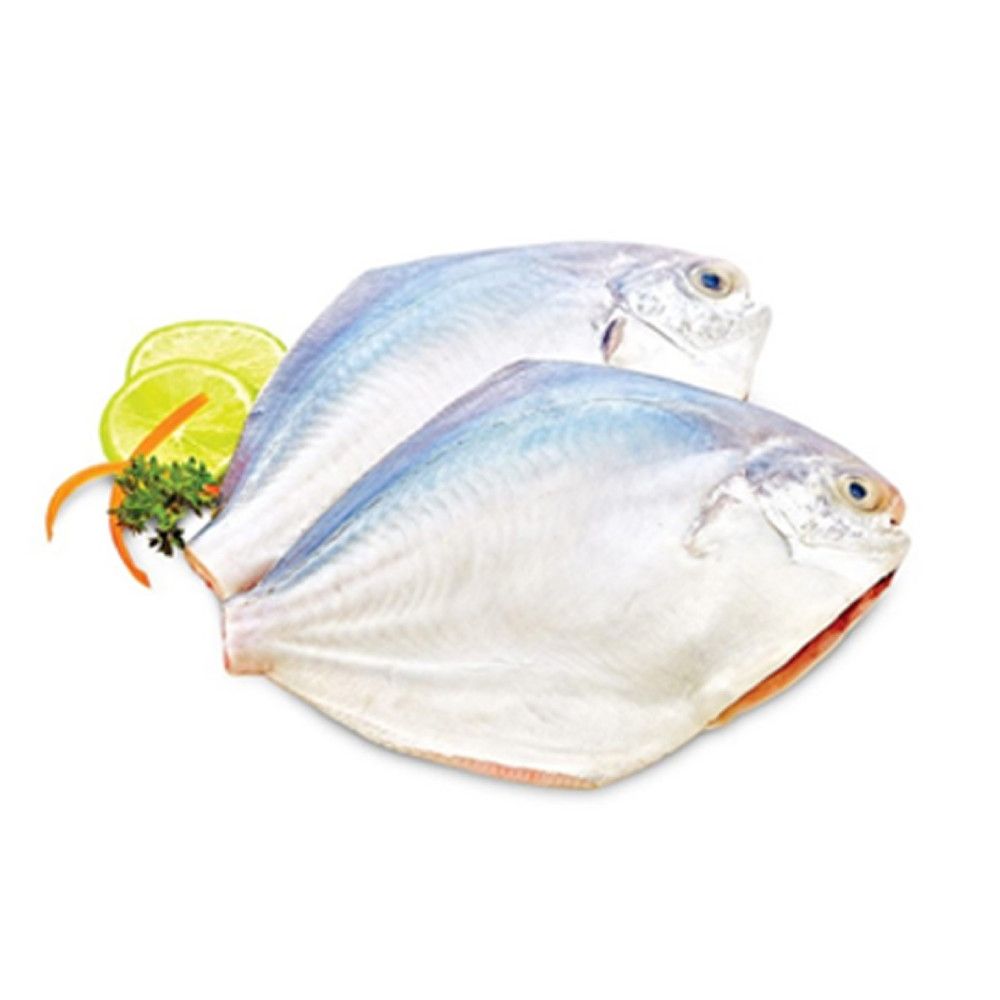 Safaid Paplet (White Pomfret), 1 KG (Approx)