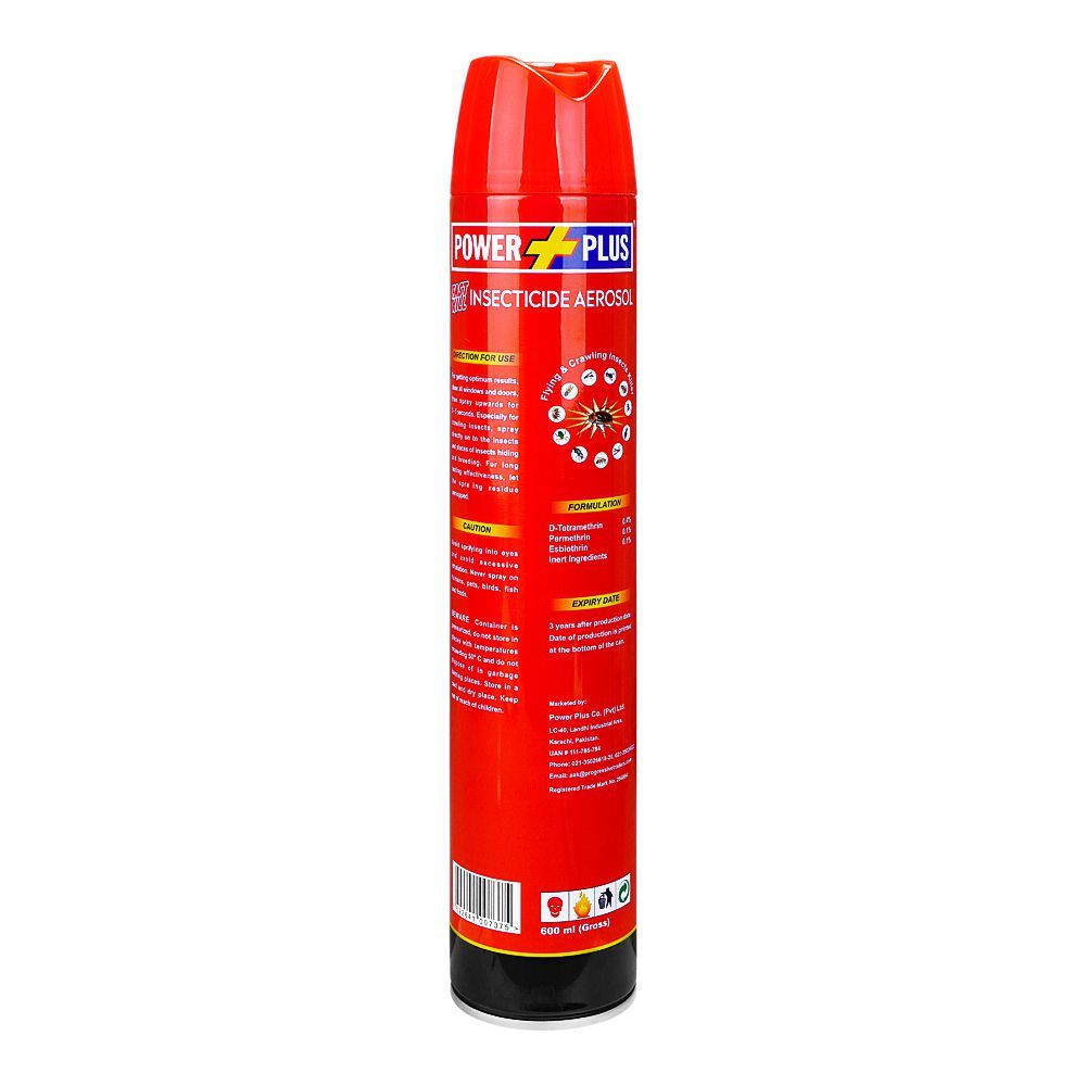 Buy Power Plus Fast Kill Insecticide Aerosol, 600ml Online at Special ...