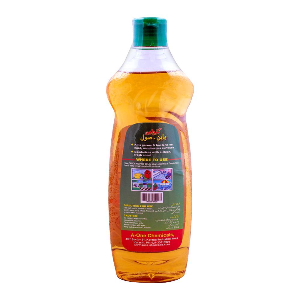 Order Caroline Pine-Sol Phenyle, Original Concentrated, 500ml Online at ...