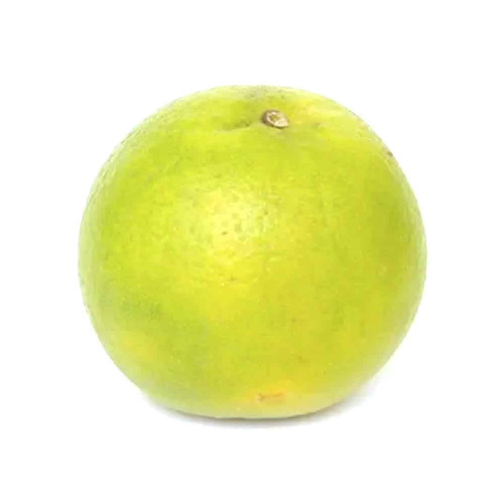 Purchase Fresh Basket Shakri Malta, 1-Piece Online at Best Price in ...