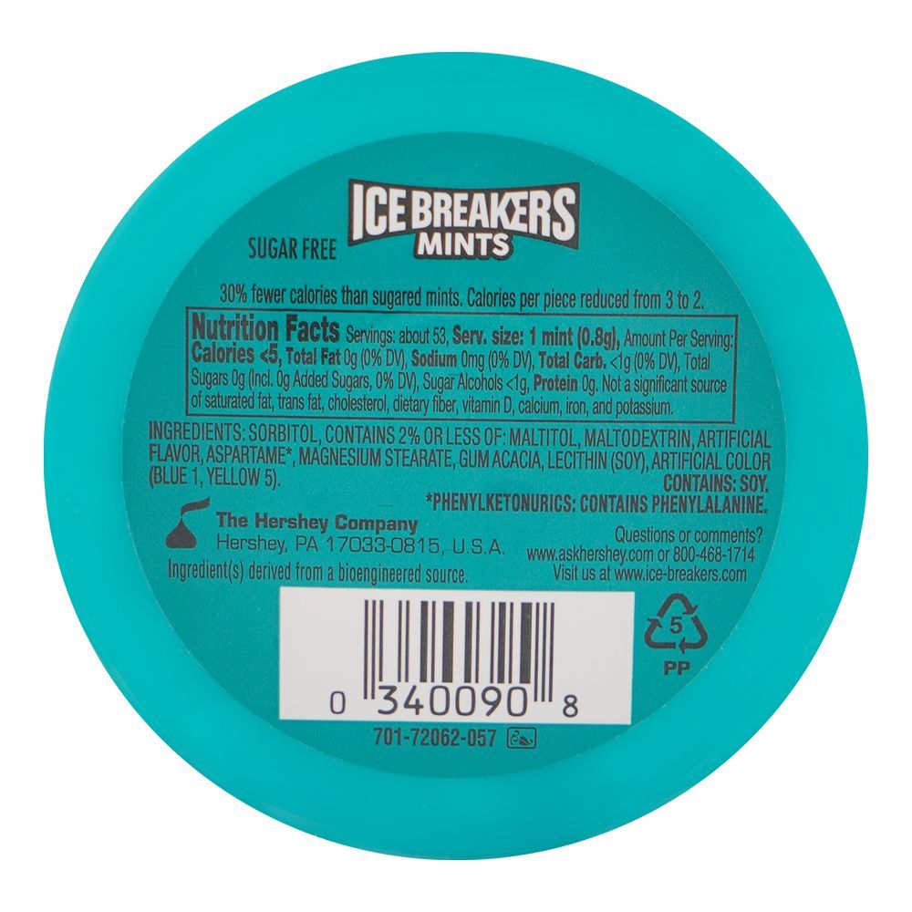 Ice Breakers Winter Green Mint, Sugar Free, 42g