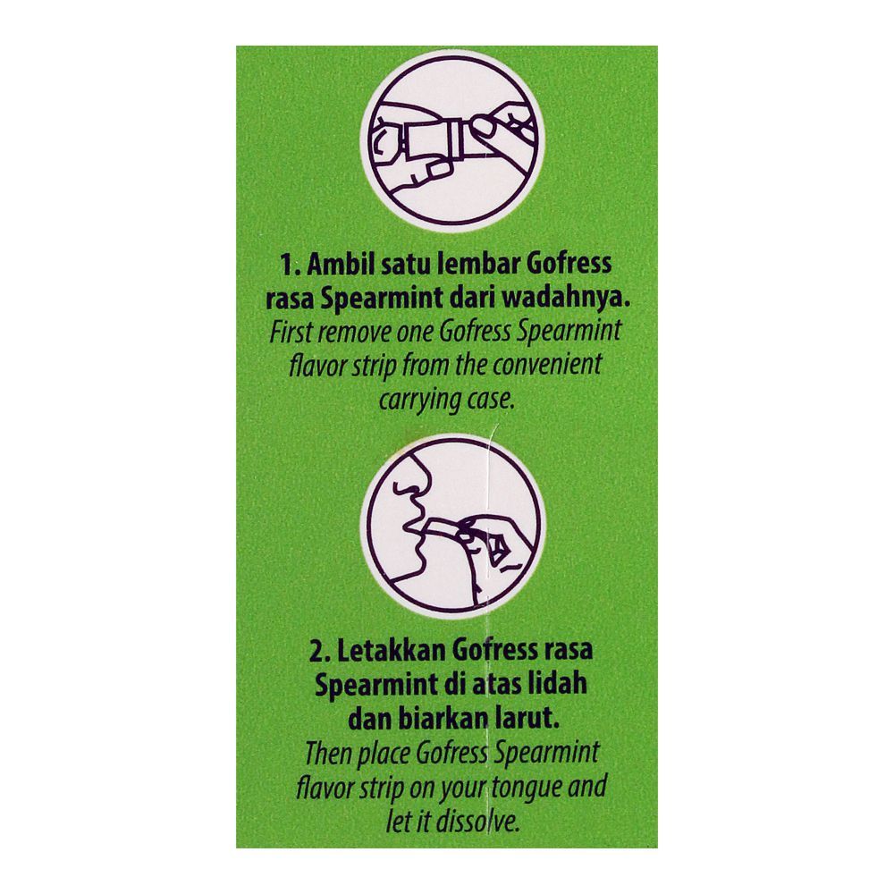 Buy Gofress Oral Care Strip, Spearmint, Mild, 24-Pack Online at Best ...