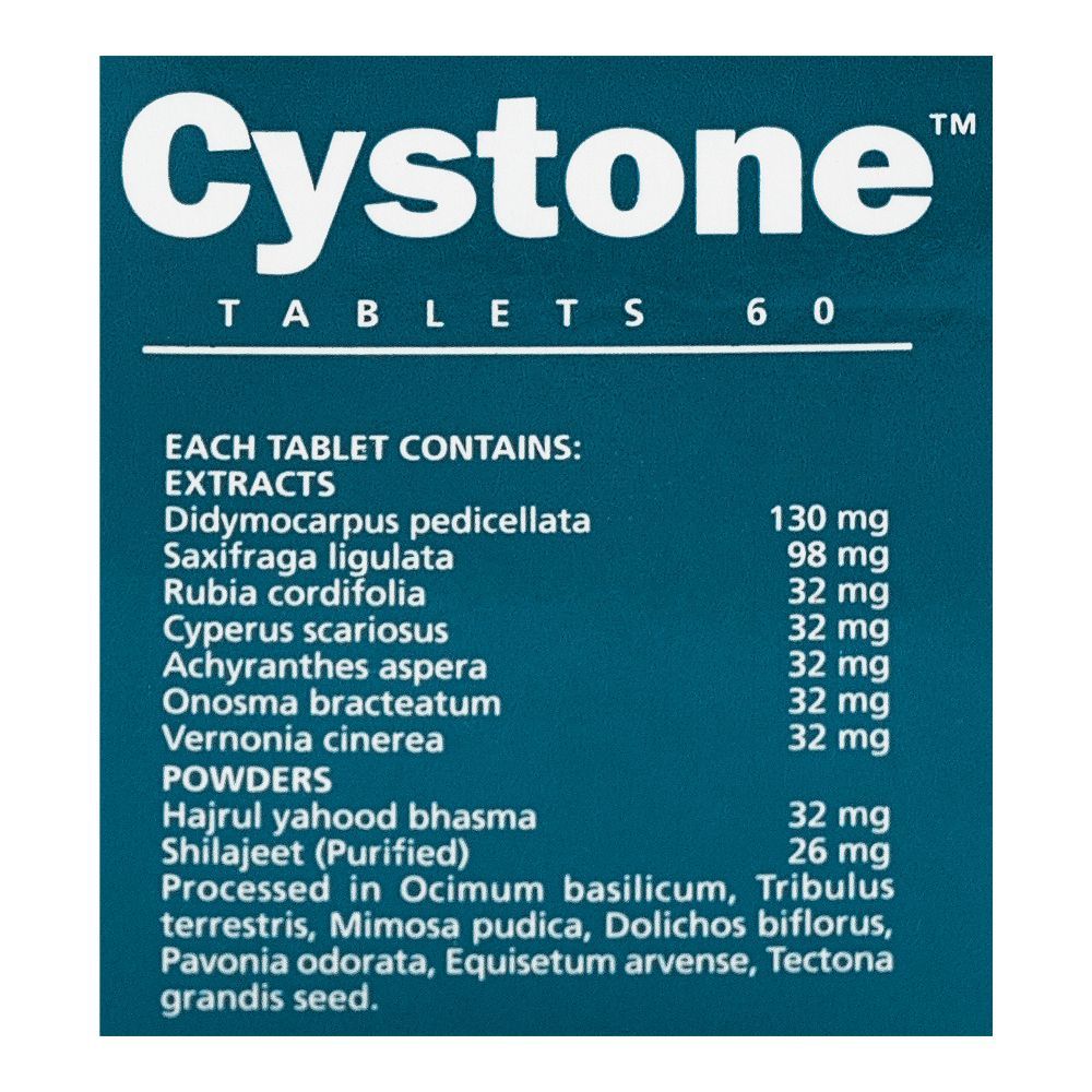 Buy Highnoon Laboratories Himalaya Cystone Tablet, 60-Pack Online at ...