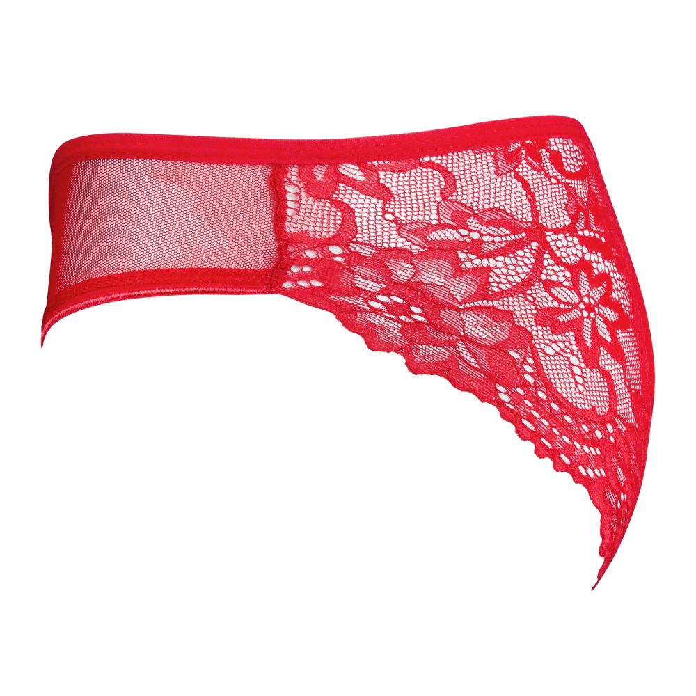 Buy BLS Lacy SS19 Brief Lacey Panty, Red, BLS30111 Online at Special ...