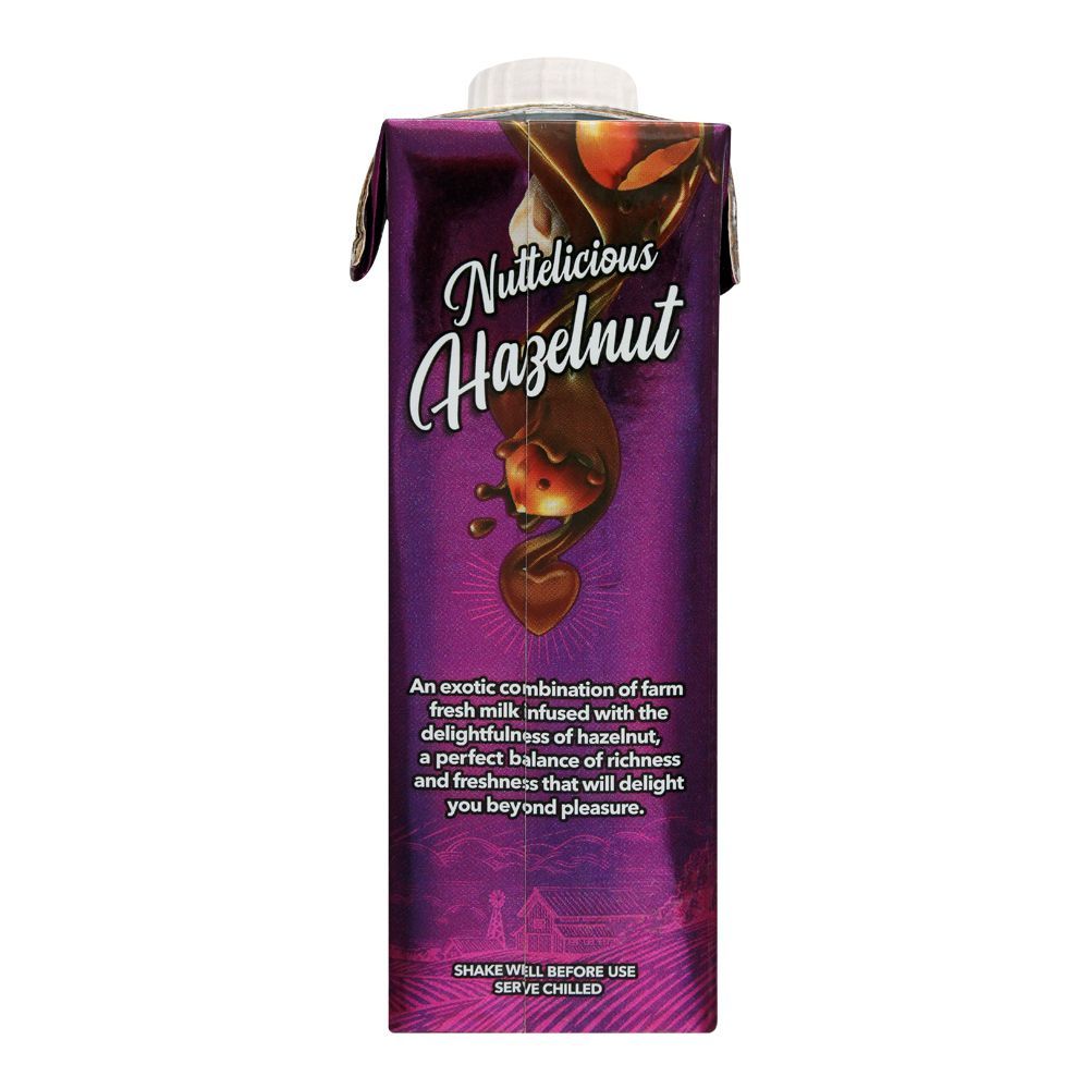 Order Day Fresh Nuttelicious Hazelnut Milk, 225ml Online at Best Price ...