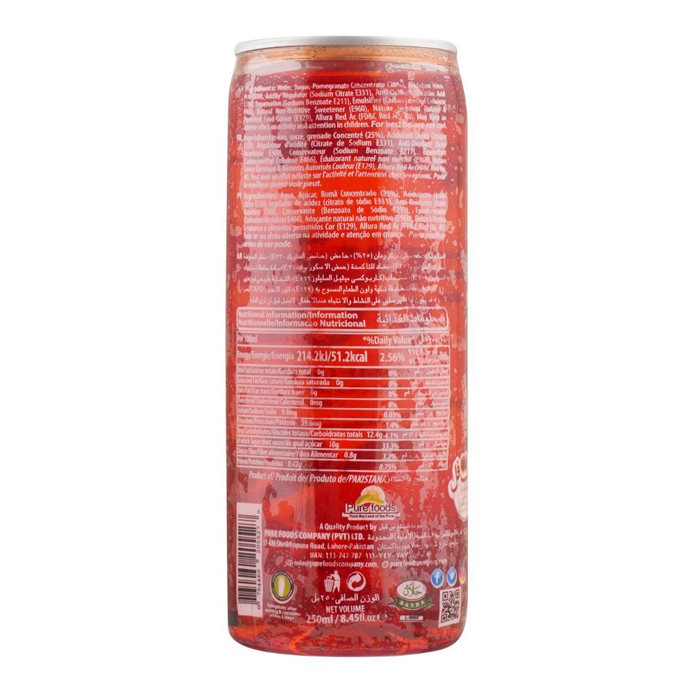 Order Froot Full Pomegranate Nectar Can, 250ml Online at Special Price ...