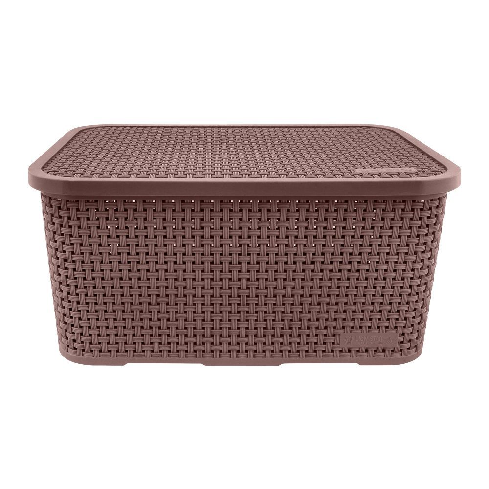 Buy Lion Star Revo Storage Box, Brown, CA-13 Online at Best Price in ...