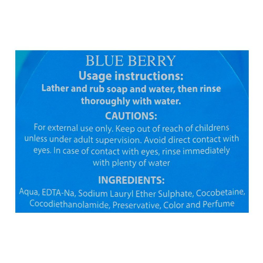 Purchase Fay Blue Berry Liquid Hand Wash, 500ml Online at Best Price in ...