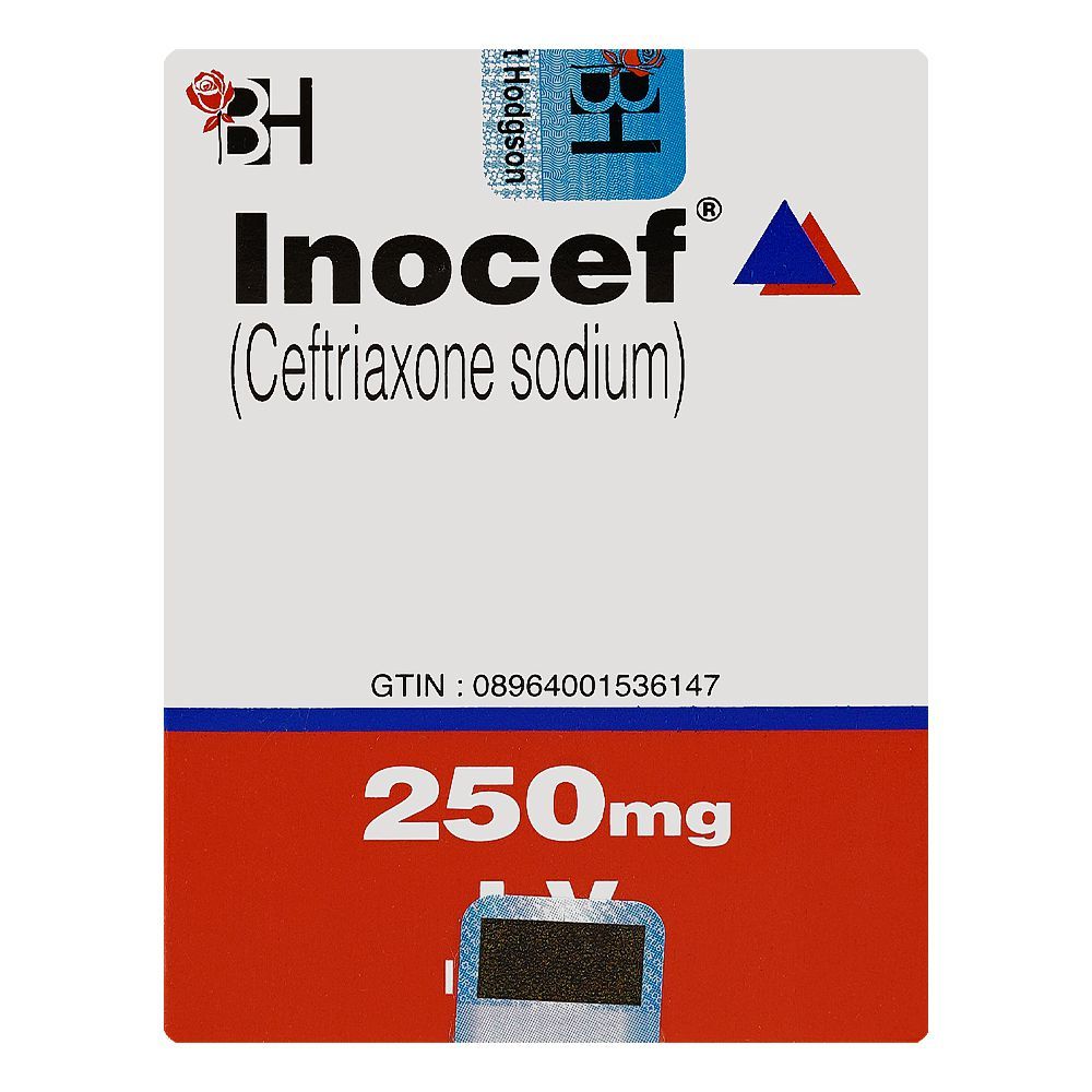 Inocef IV Injection 250mg, Box (1 Injection)