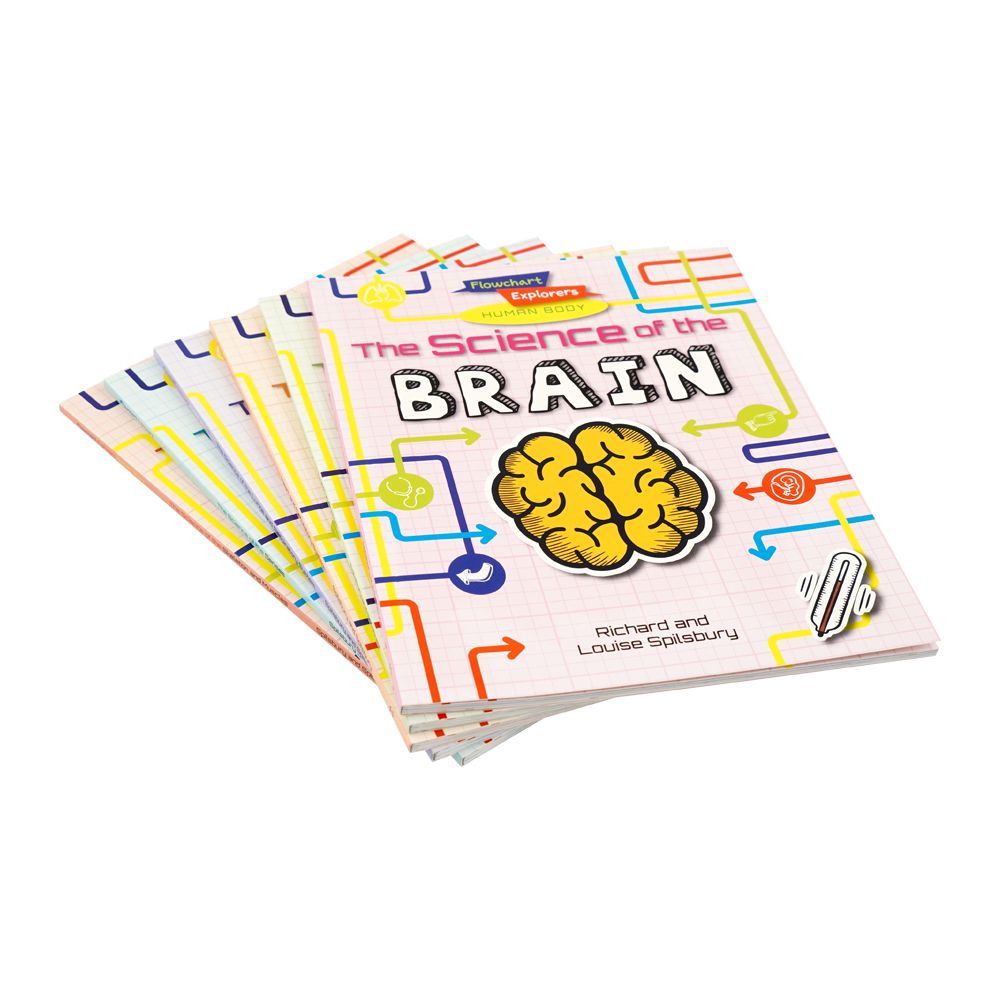 Fox Eye Flowchart Explorers Human Body Stem Life Science, 6 Science ...