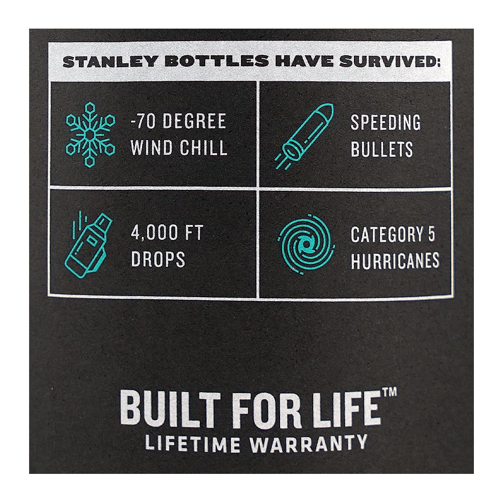 Stanley Go Series Quick-Flip Water Stainless Steel Bottle, Frost, 1.06 ...