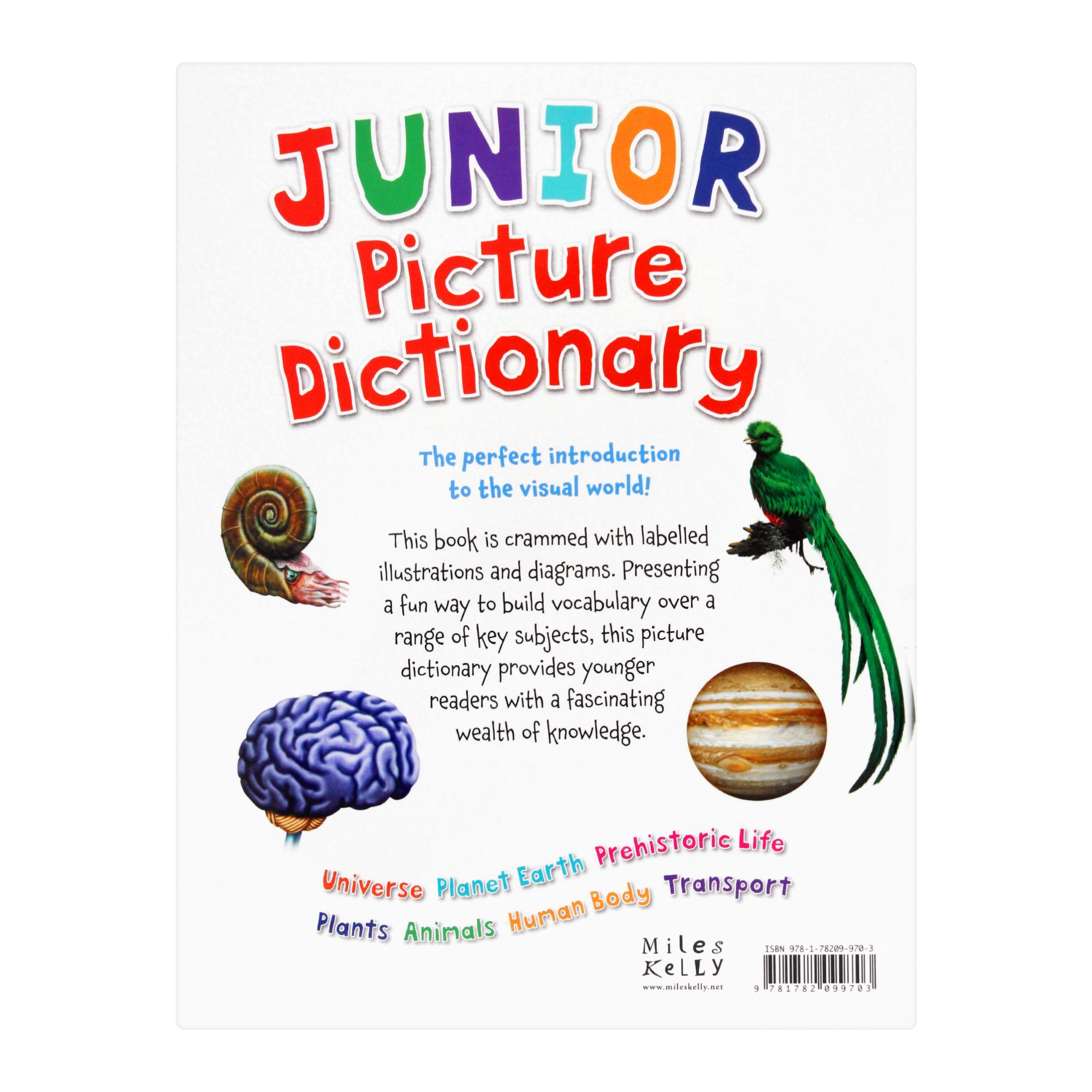 Purchase Junior Picture Dictionary Online at Best Price in Pakistan ...