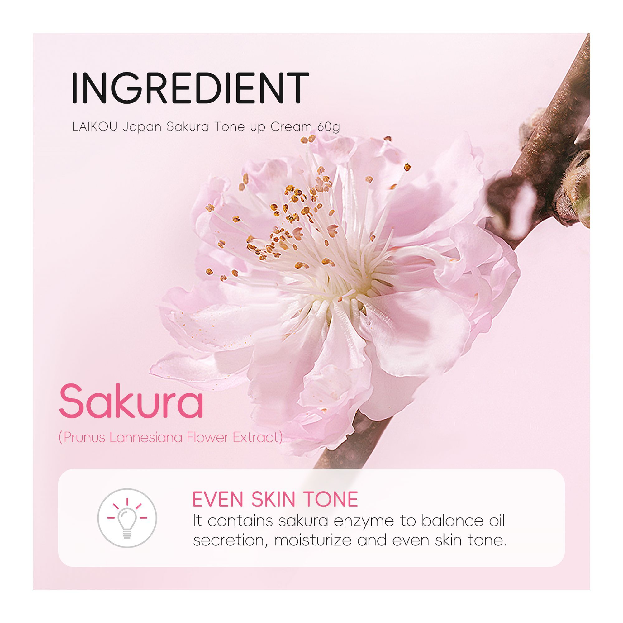 Laikou Japan Sakura Tone Up Cream, Vitamin C & Niacinamide, 60g, LK97486B