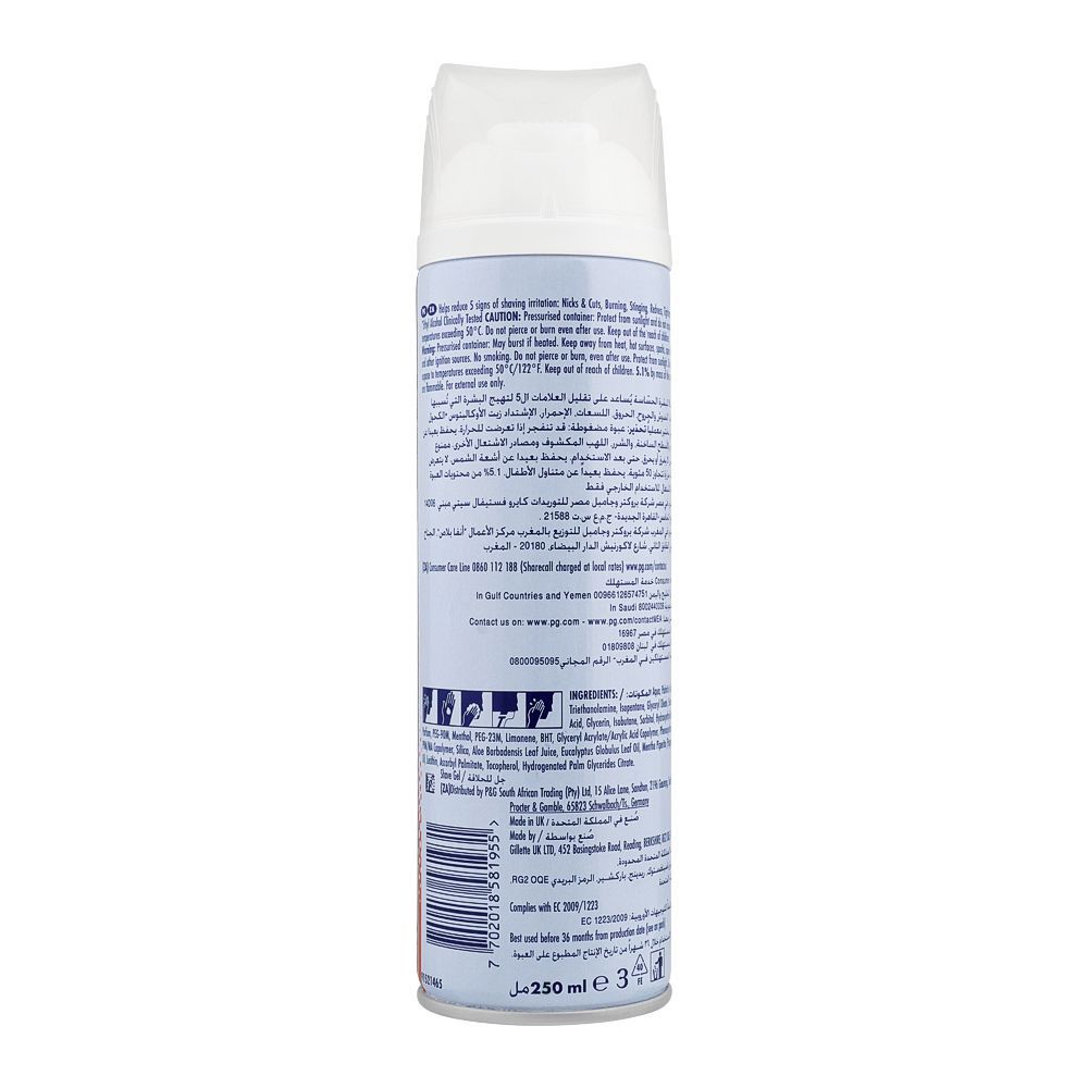 Buy Gillette Pro Sensitive Deep Comfort Eucalyptus Oil Shave Foam ...