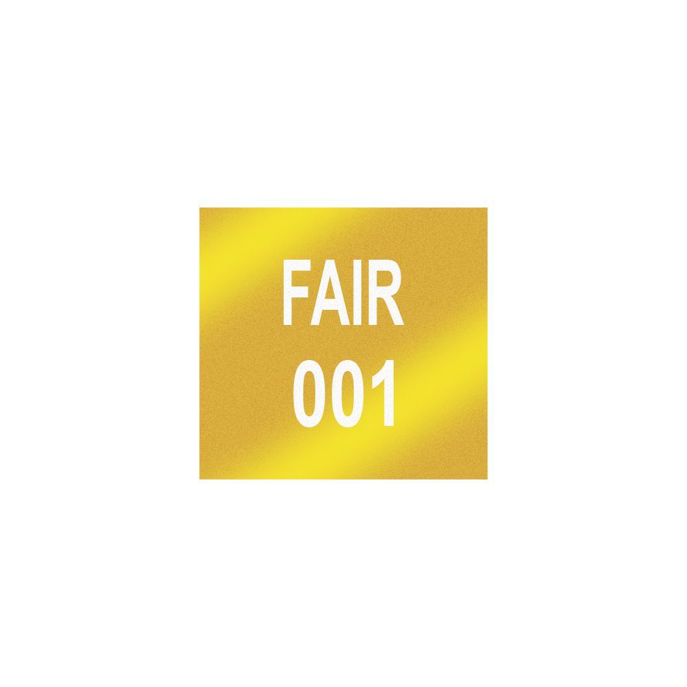 Buy Color Studio Flawless Finish Invincible Concealer, 001 Fair Online ...