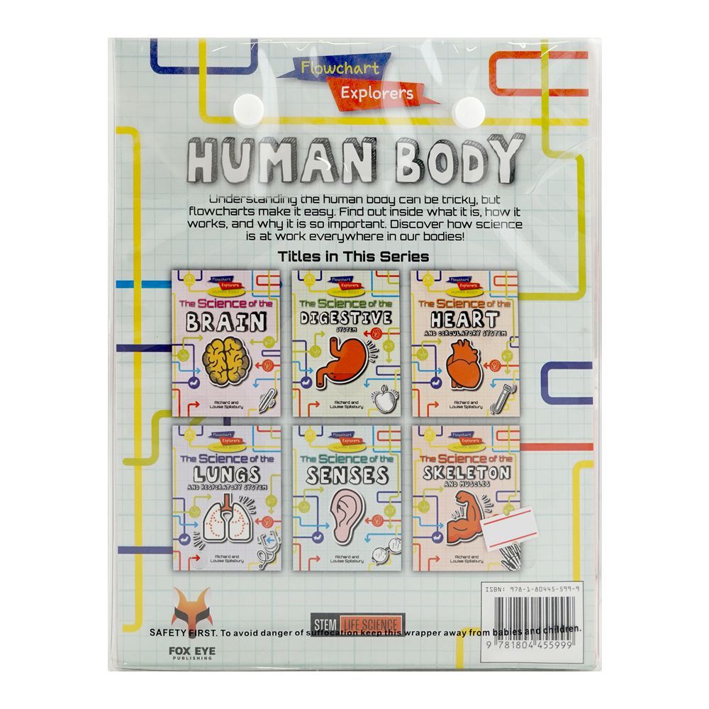 Fox Eye Flowchart Explorers Human Body Stem Life Science, 6 Science ...